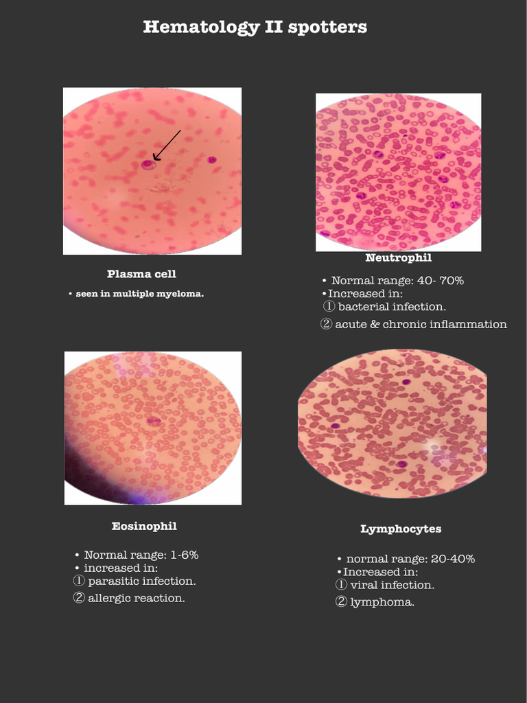 Hematology I I Practical | PDF