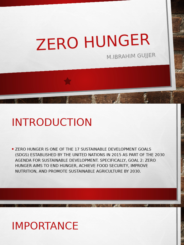 Zero Hunger | PDF