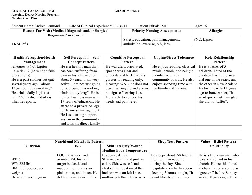 Knee Replace Care Plan | PDF | Pain | Dietary Fiber