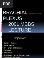 Brachial Plex Easy Diagram | PDF | Science & Mathematics