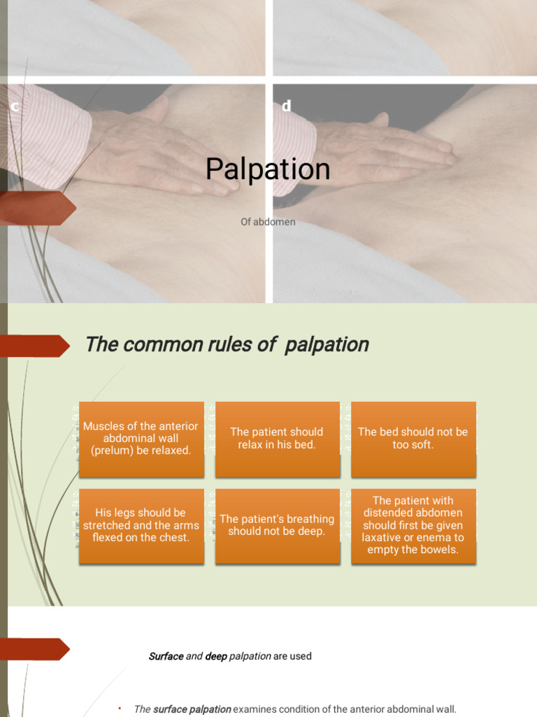 Palpation of abdomen | PDF | Abdomen | Large Intestine