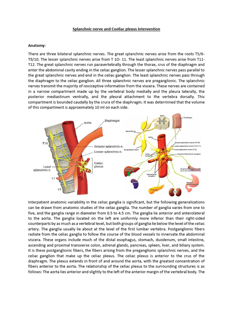 Splanchnic Nerve & Celiac Plexus Block Guide | PDF | Vertebra | Abdomen