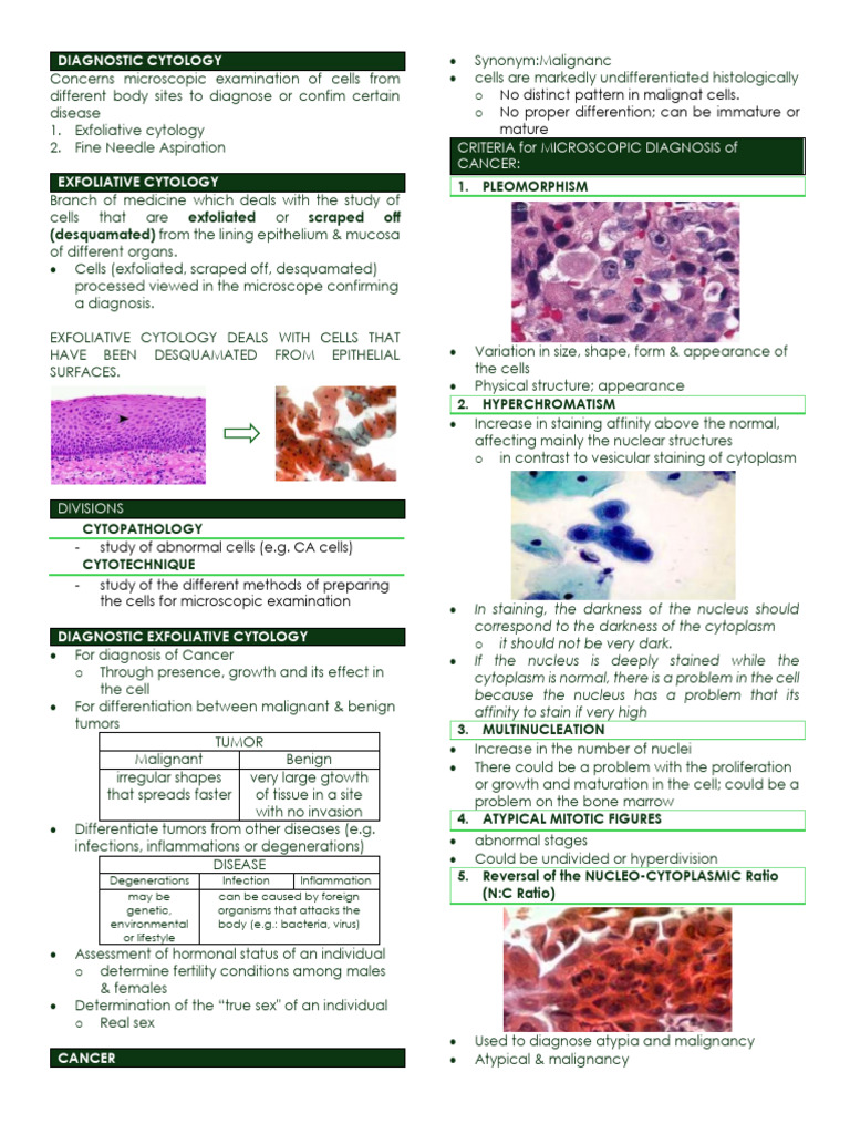 Histopath-Diagnostic Cytology | PDF | Cytopathology | Staining