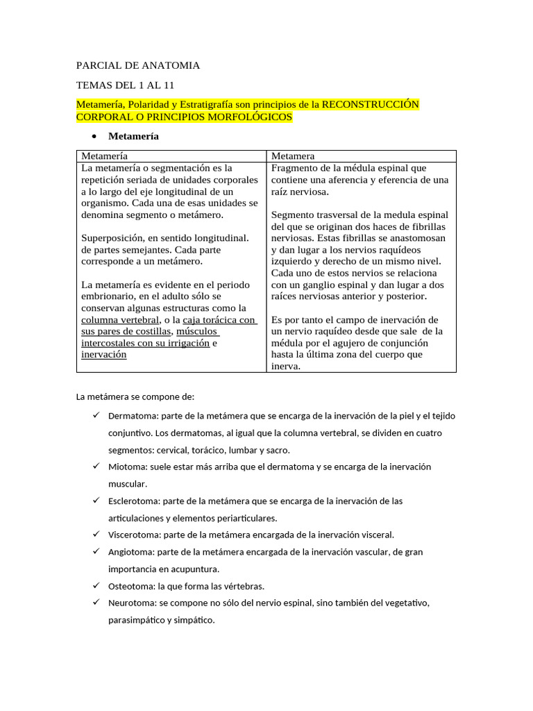 Principios de Anatomía: Metamería y Más | PDF | Articulación | Artería