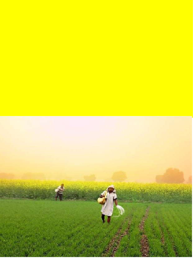 Template For Development of Business Plan FPOs Under CSS 10 Filename 1 000 FPO Scheme | PDF ...