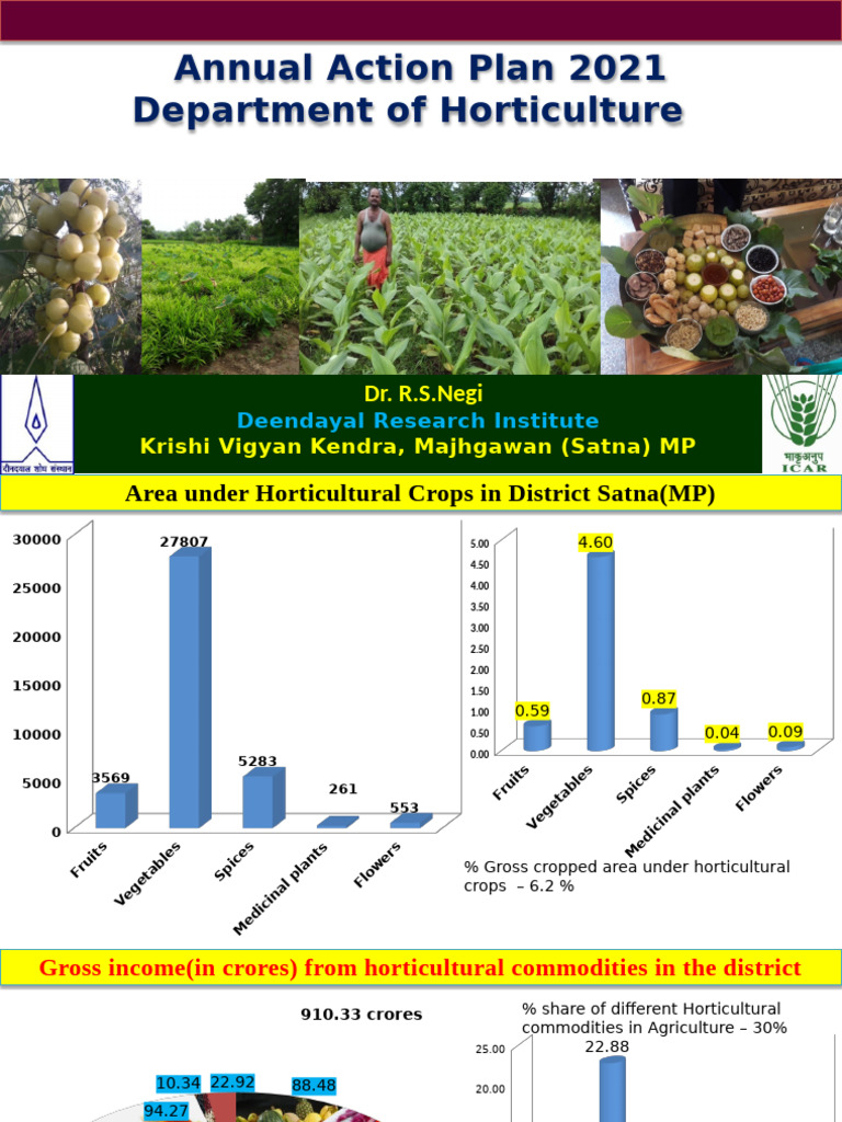 Horticultural Crop Strategies in Satna | PDF | Agriculture | Fertilizer