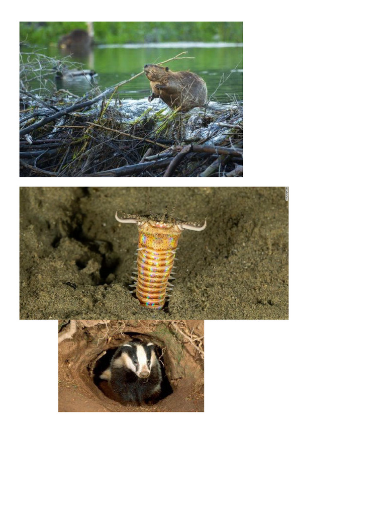 2 Senario Glvssas | PDF