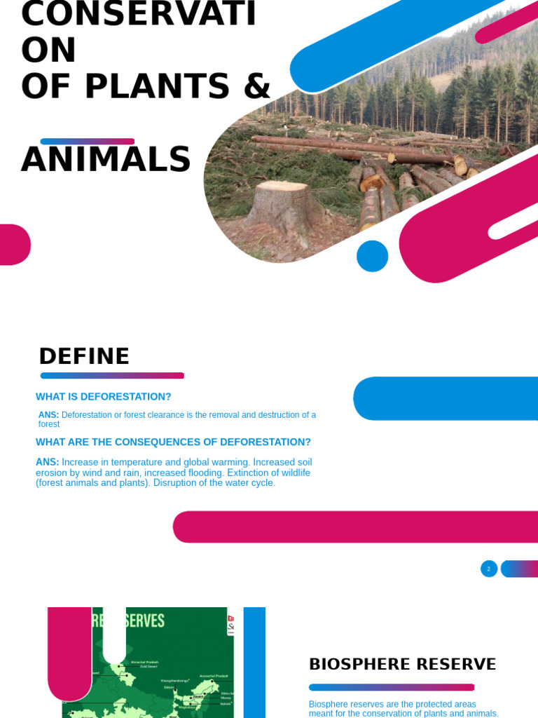 Conservation | PDF | Endangered Species | Deforestation