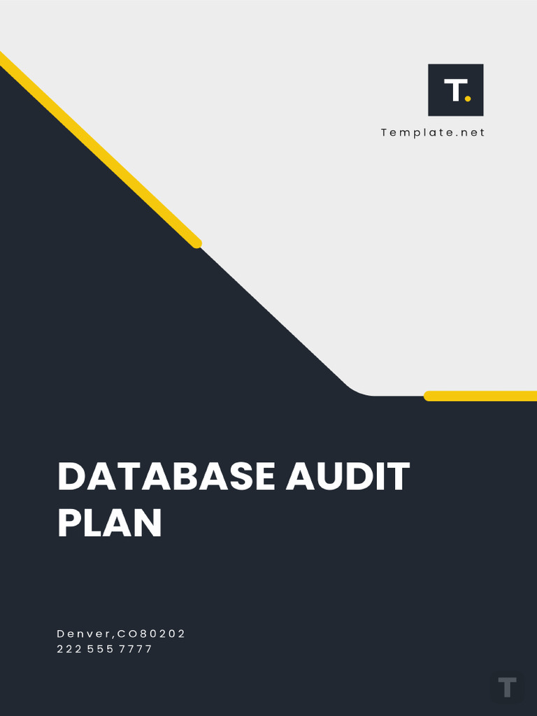 Free Database Audit Plan Template | PDF