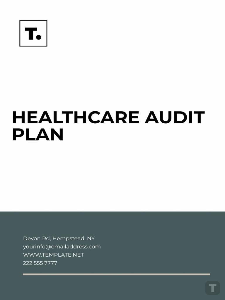 Healthcare Audit Plan Template | PDF