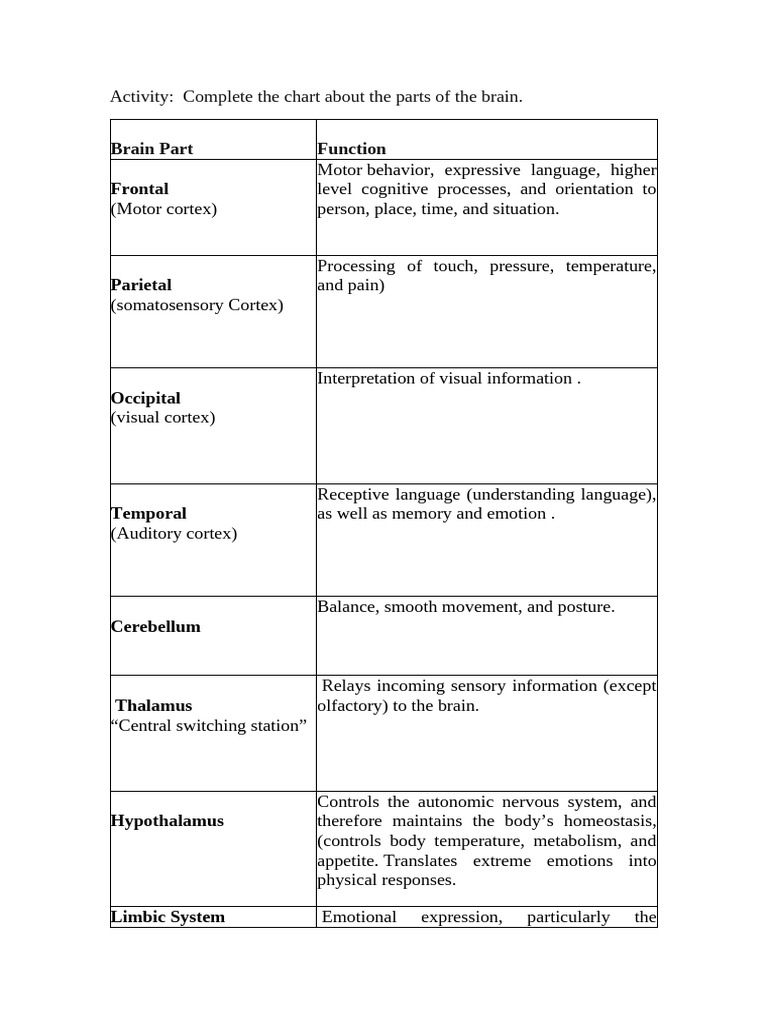 Brain Parts and Their Functions Chart | PDF