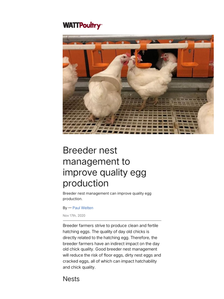 Breeder Nest Management To Improve Quality Egg Production | PDF | Egg ...