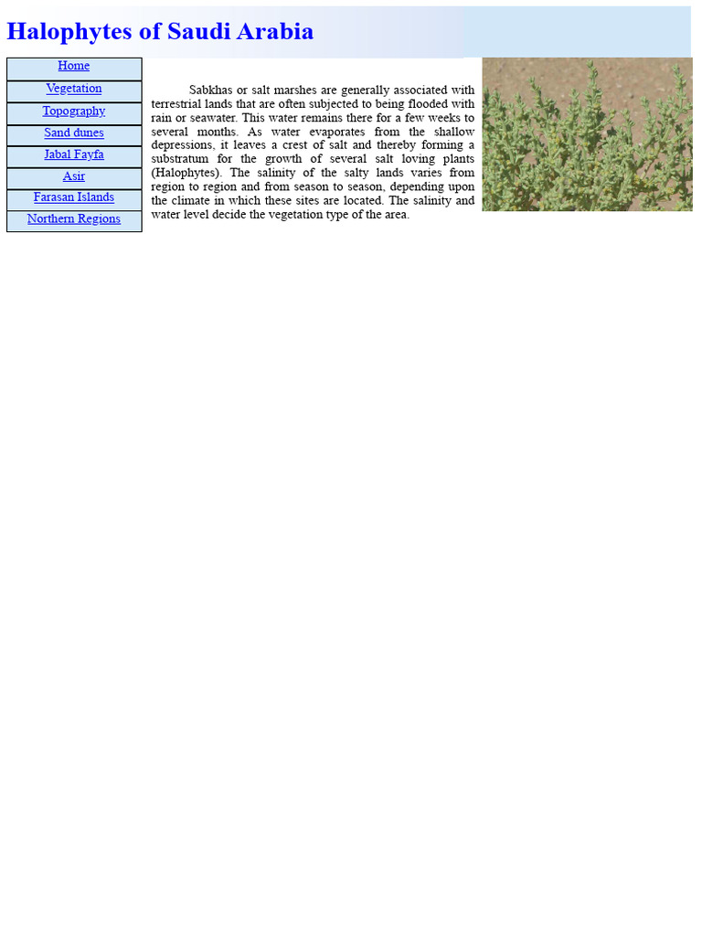 Halophytes of Saudi Arabia | PDF | Physical Geography | Earth Sciences