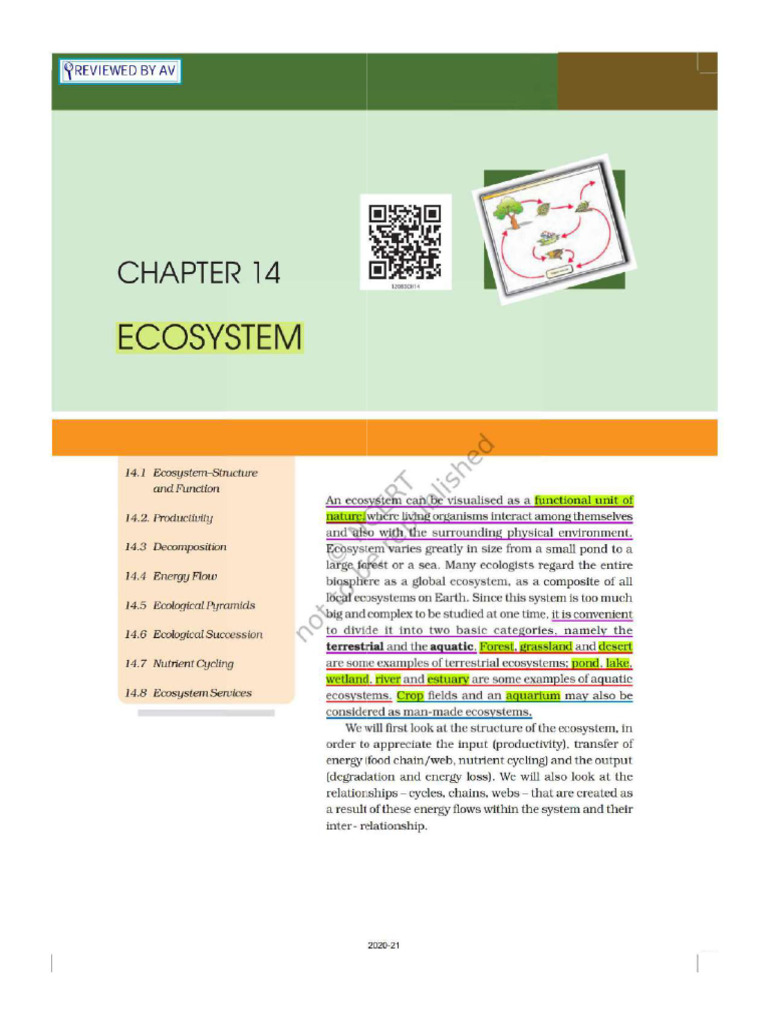 Ecosystem Ncert 1 | PDF