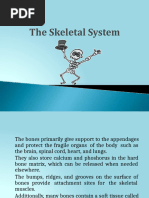 Skeletal System Anatomy Lecture PDF | PDF | Bone | Skeleton