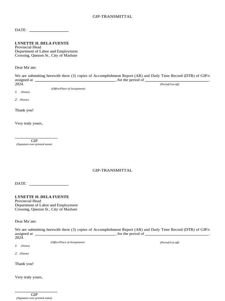 GIP Accomplishment Report 2024 | PDF