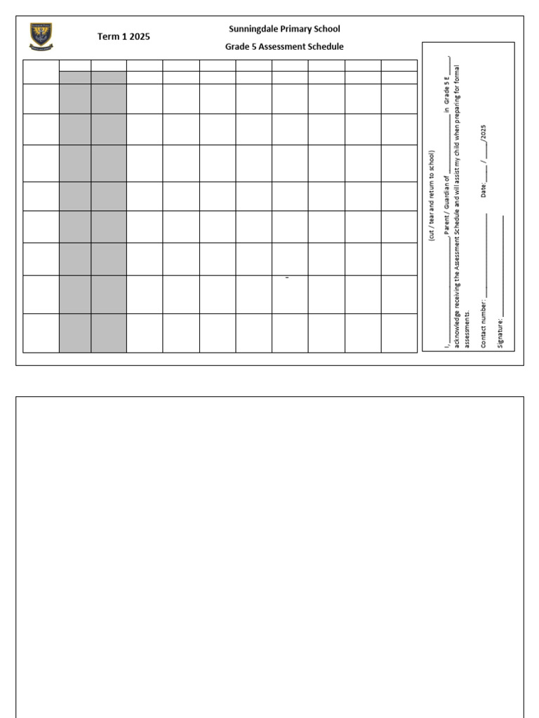Grade 5 Assessment Plan Term 1 2025 | PDF
