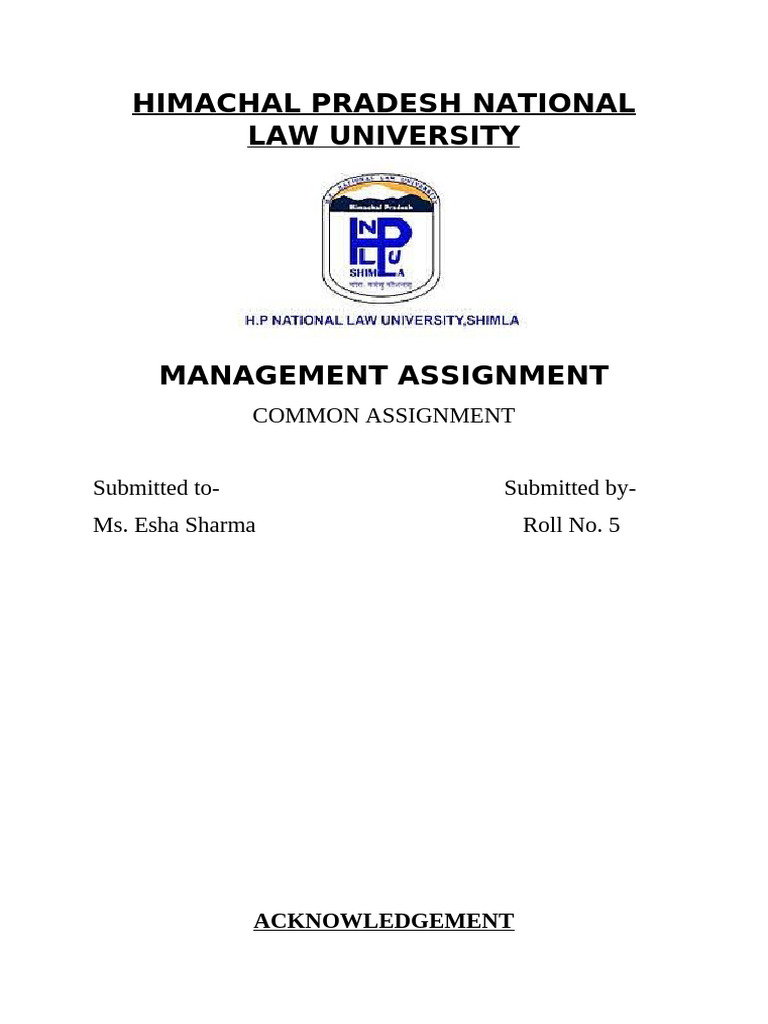 common assignment | PDF | Competitive Advantage | Newspapers