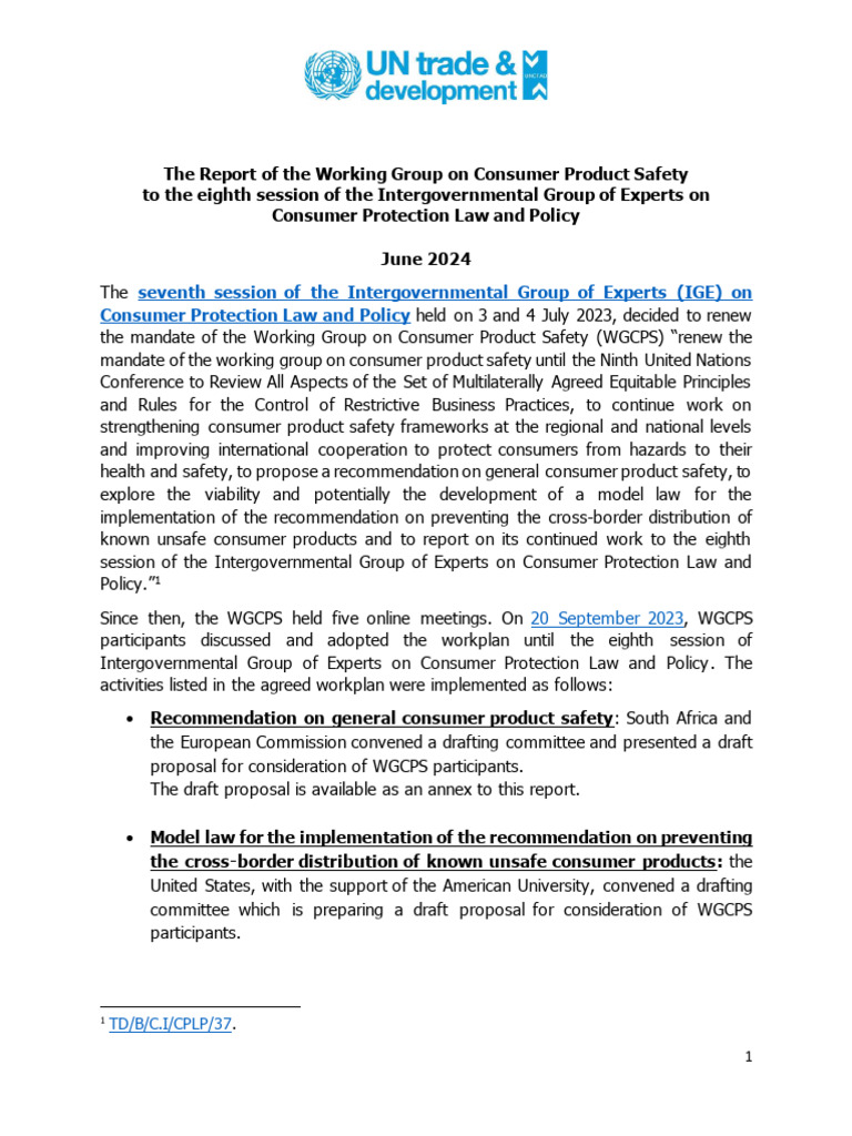 CCPB IGECON2024 Report WG Consumer Product Safety en 0 | PDF | Safety