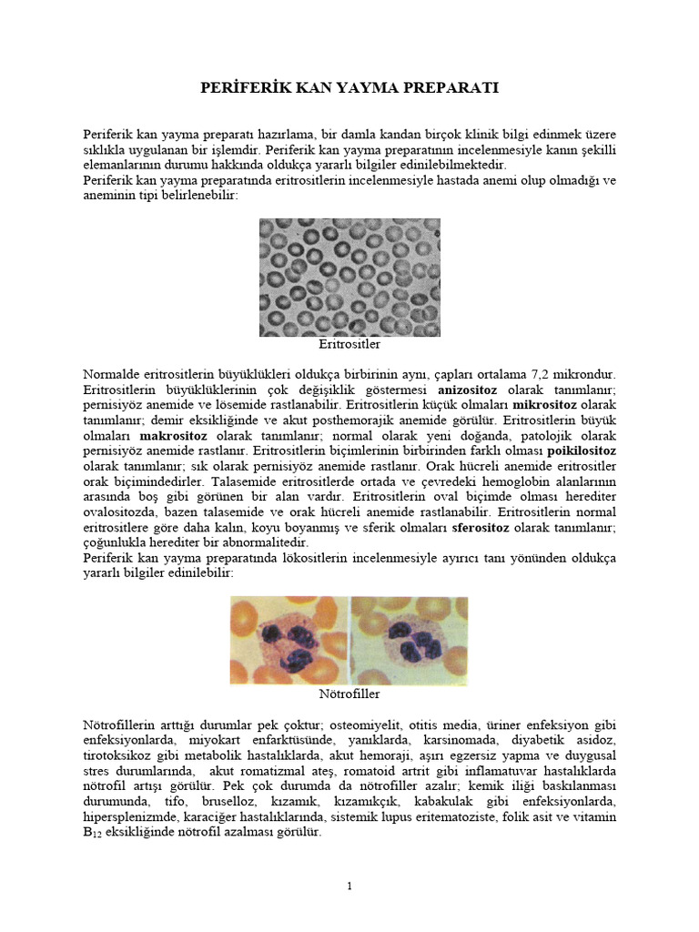 28-Peri̇feri̇k Kan Yayma Preparati | PDF