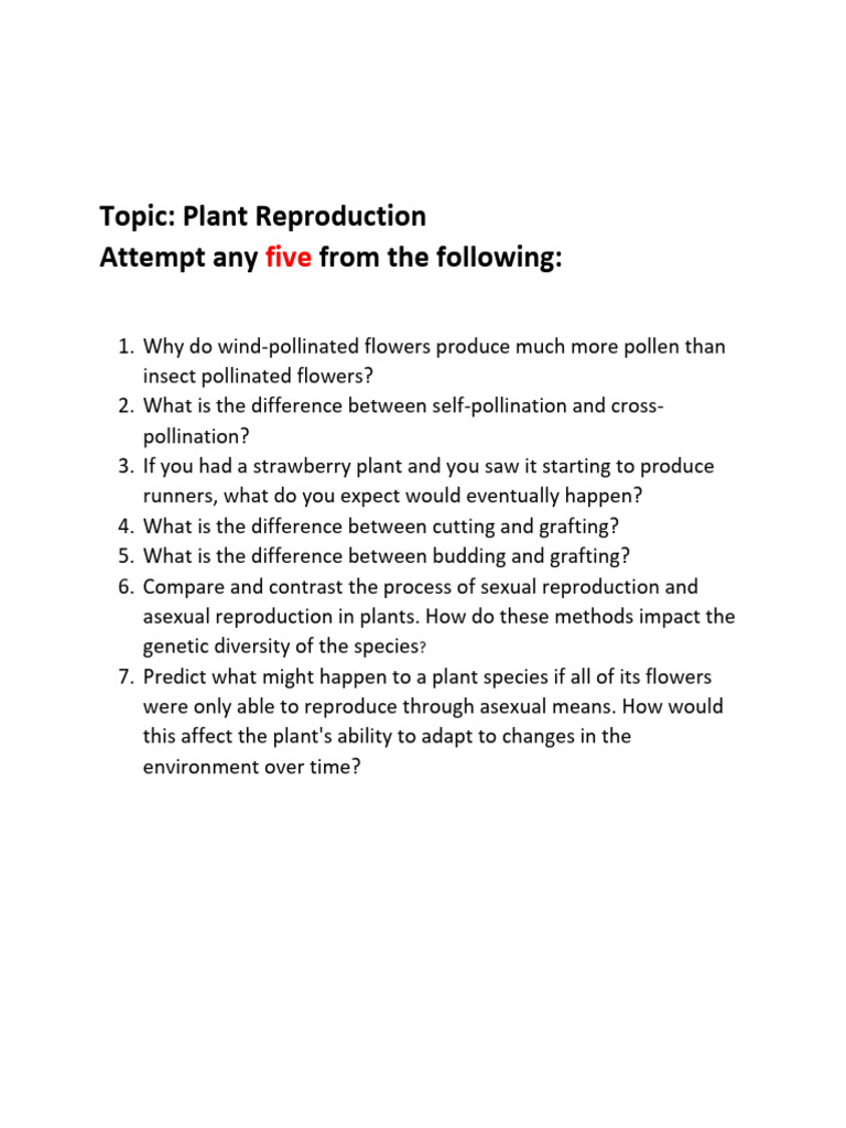 Unit 1 - High Order Thinking Questions | PDF