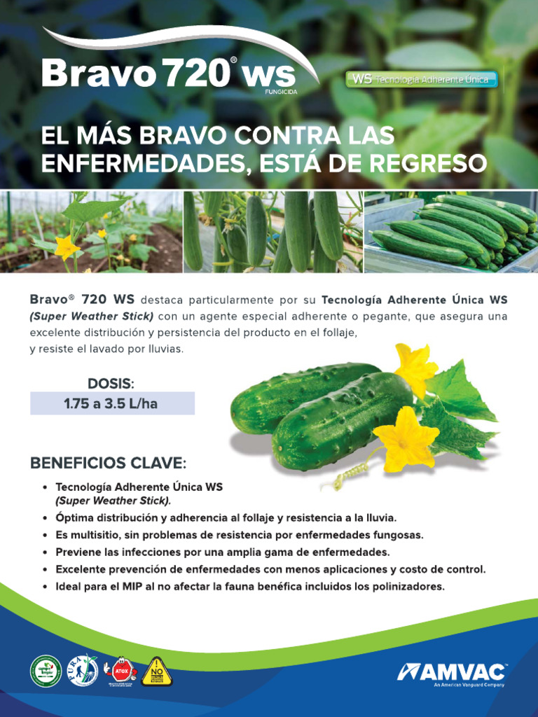 Flyer Bravo 720 y Gold | PDF