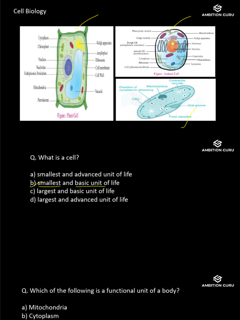 Introduction To Cell Biology | PDF | Cell (Biology) | Cytoplasm