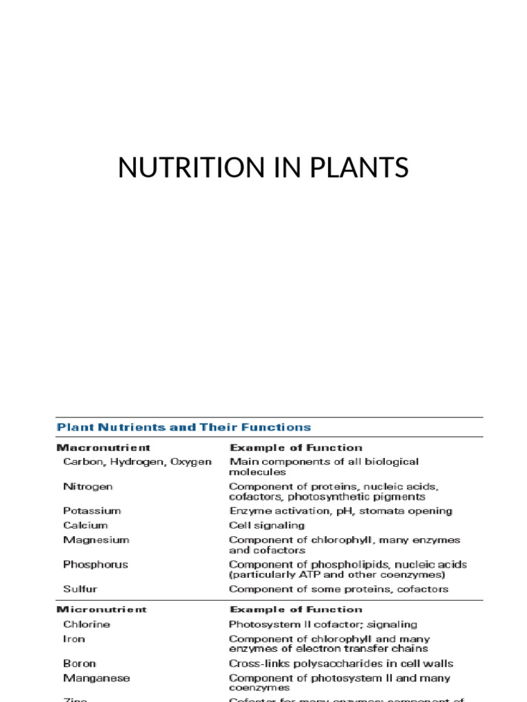 Nutrition in Plants | PDF