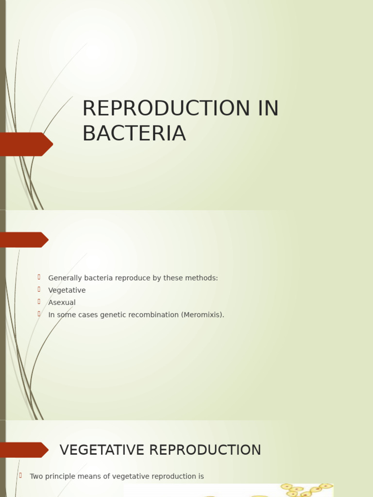 REPRODUCTION IN BACTERIA | PDF | Bacteria | Cell (Biology)