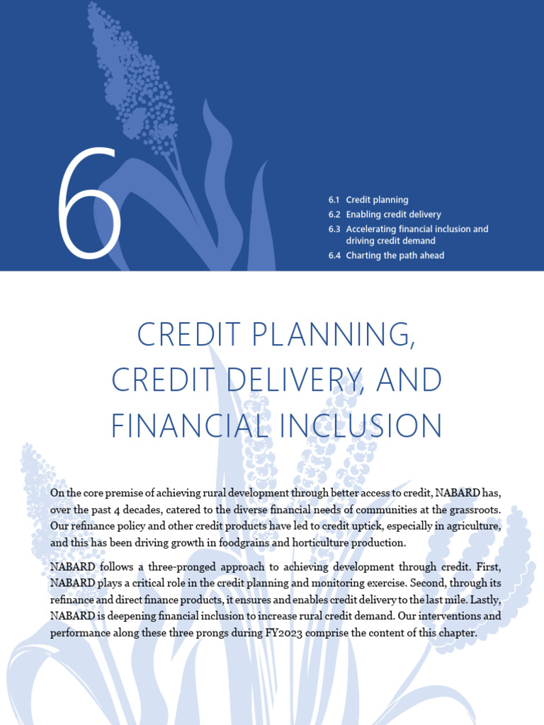 Credit Planning and Financial Inclusion | PDF | Financial Inclusion ...