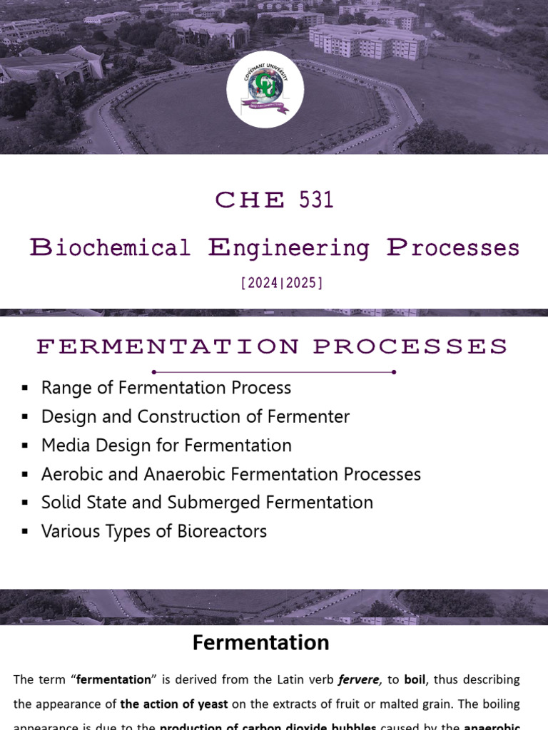 Biochemical Engineering: Fermentation Processes | PDF | Fermentation ...