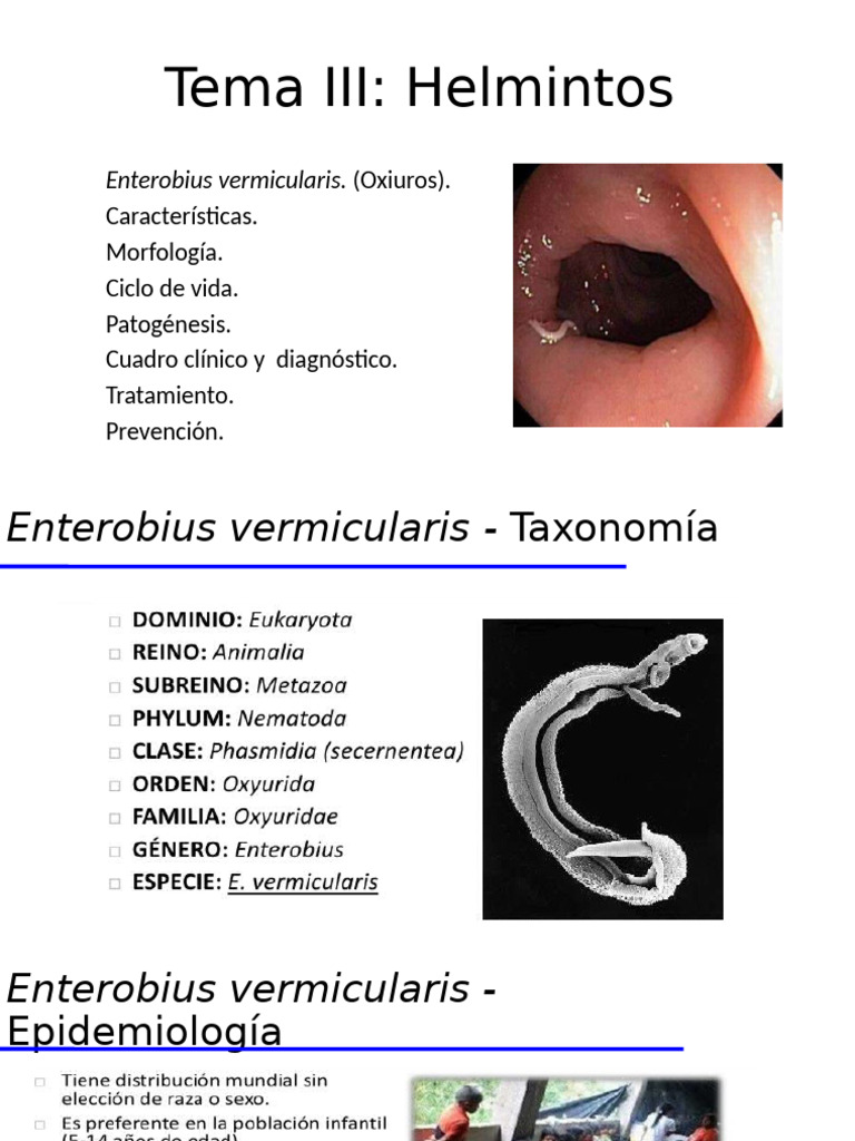 2 - Enterobius Vermicularis | PDF | Enfermedades y trastornos ...