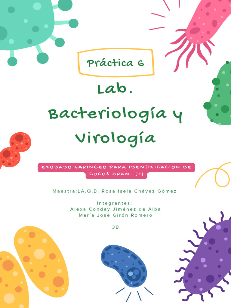 Práctica 6. Bacter PDF | PDF | Estreptococo | Staphylococcus Aureus