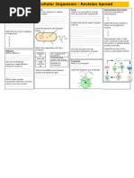 Year 8 Rocks Revision Worksheet | PDF | Rock (Geology) | Petrology
