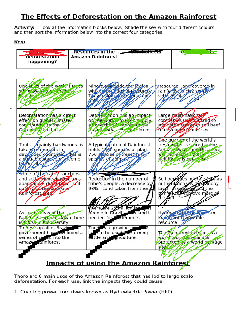 Deforestation Effects Information Sort | PDF | Deforestation | Rainforest
