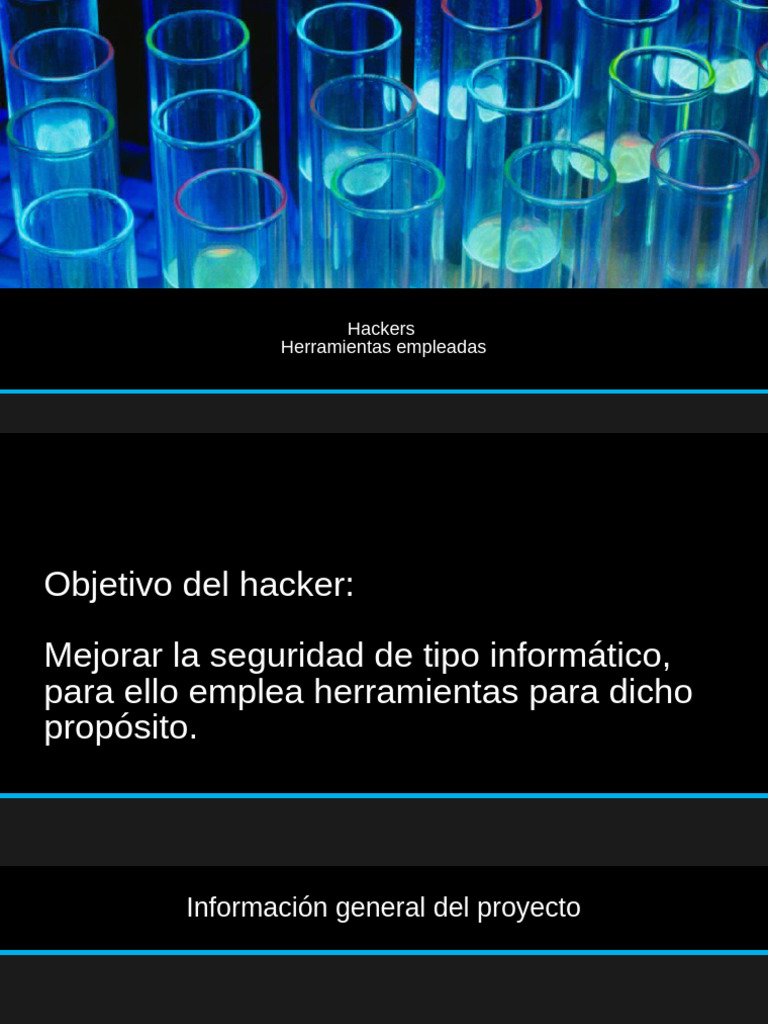 Hacker | PDF