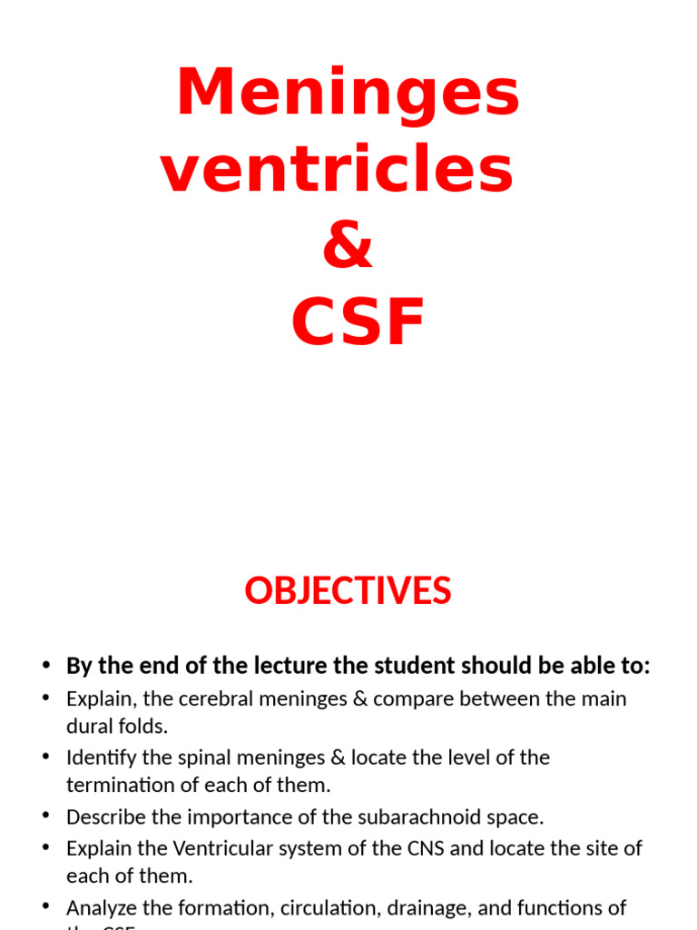 Meninges and Cerebrospinal Fluid Overview | PDF | Cerebrospinal Fluid ...