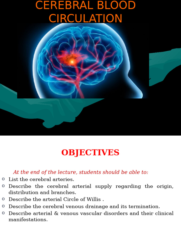 15-Cerebral Crculation | PDF | Vein | Cerebrum