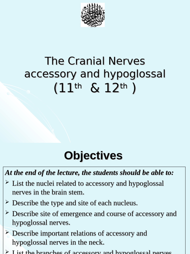 9 - XI-XII Cranial Nerves | PDF | Human Anatomy | Neuroanatomy