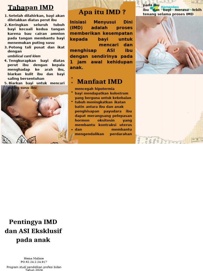 Panduan IMD dan ASI Eksklusif untuk Bayi | PDF