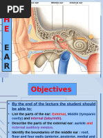 Ear Anatomy Quiz and Answers | PDF