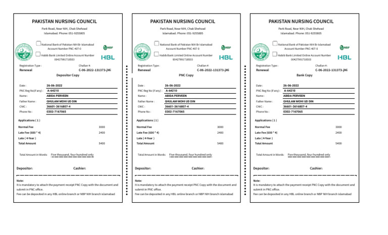 PNC Challan | PDF | Institutional Investors | Money