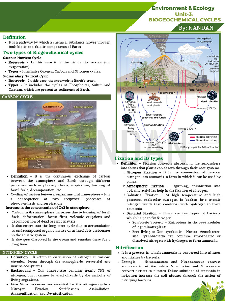 3. BIOGEOCHEMICAL CYCLES | PDF | Soil | Nitrogen