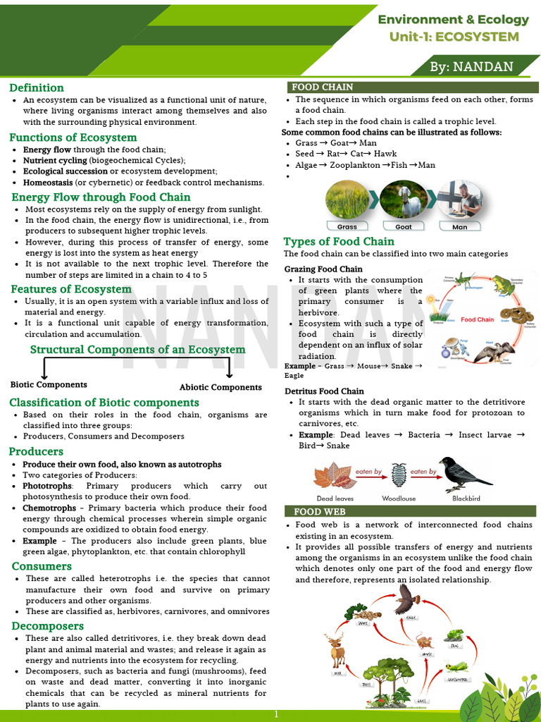 2. ECOSYSTEM | PDF | Food Web | Ecosystem