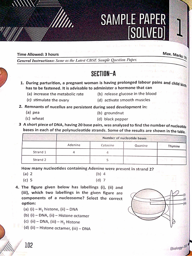 Sample Paper 1 | PDF