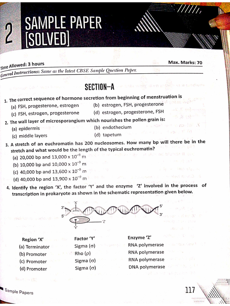 Sample Paper 2 | PDF