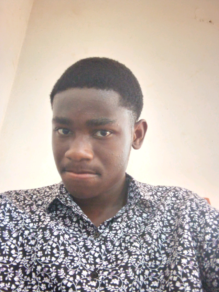 PDF_Phoenix_20250128_142708 | PDF