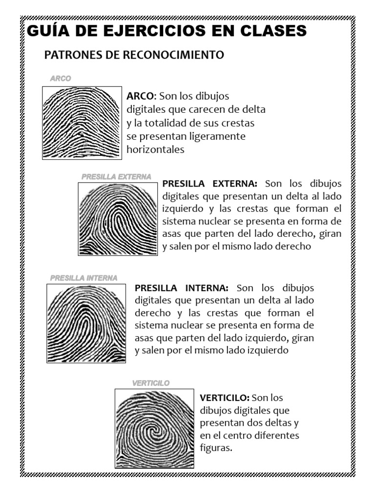 Tipos de Huellas Dactilares: Arco y Presillas | PDF | Huella dactilar