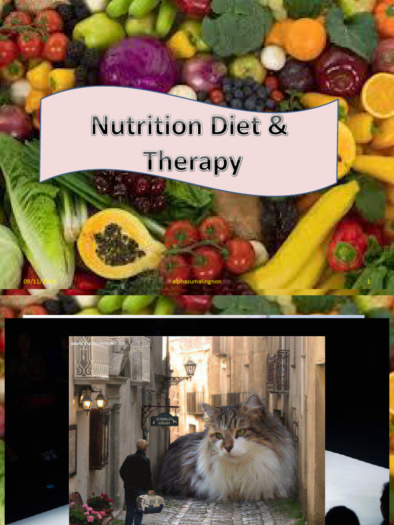 NUTRITION-DIET-THERAPY-1-2024-MIDTERM | PDF | Breast Milk | Breastfeeding