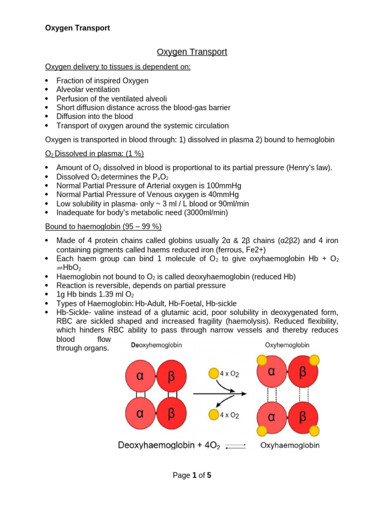 Oxygen Transport | PDF | Hemoglobin | Blood